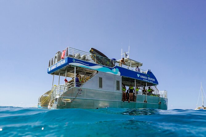 Oahu Dolphin Watch Cruise with Waterslide & Snorkeling