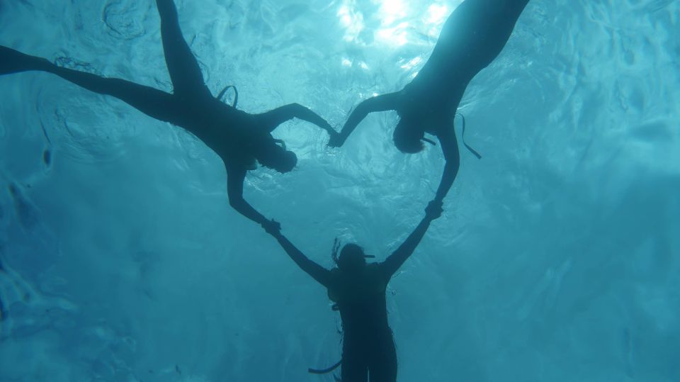 Oahu Dolphin Watch, Turtle Snorkel, Waterslide Activities - FAQ