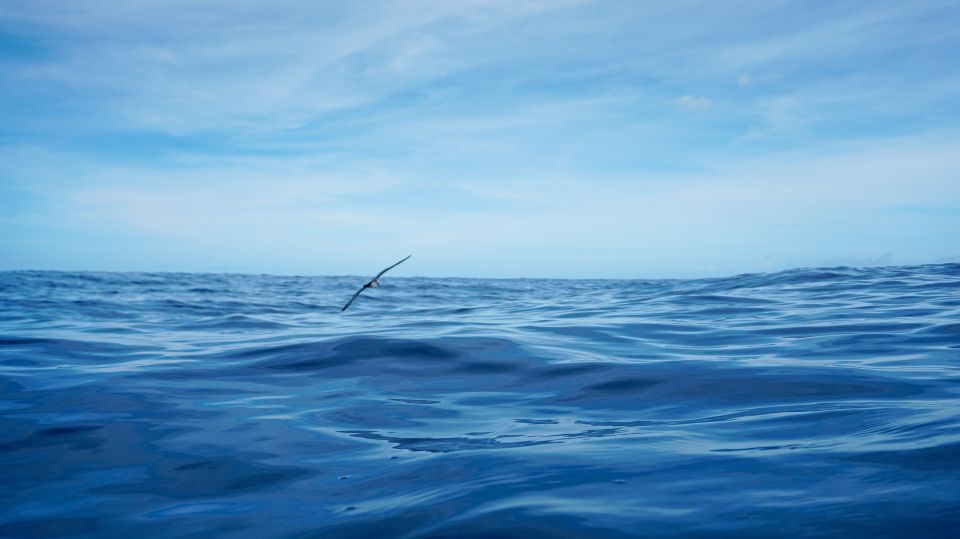 Oahu Dolphin Watch, Turtle Snorkel, Waterslide Activities - Discovering the Coastal West of Oahu