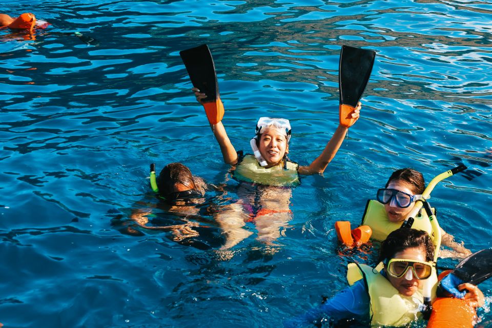 Oahu Dolphin Watch, Turtle Snorkel, Waterslide Activities - Water Activities and Family Fun