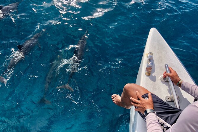 Oahu Explorer Pass: Save up to 50% - Includes Waikiki Cruise - An In-Depth Look at the Itinerary