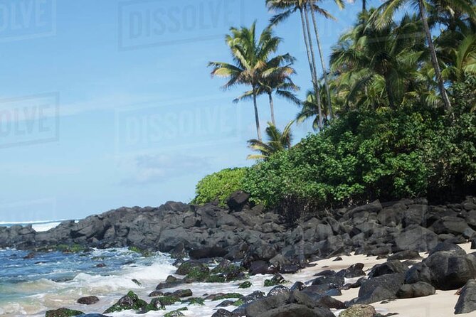 OAHU GRAND CIRCLE Waimea Waterfall, Turtle Beach, North Shore. - The Itinerary in Detail