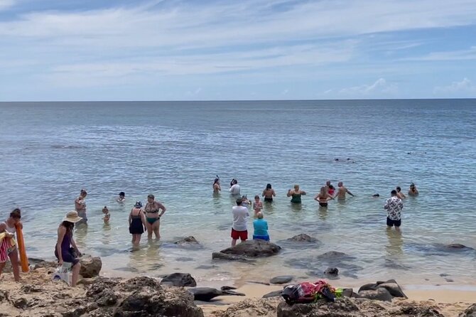Oahu Guided Circle Island Tour, Swim w/ Turtles, Dole, Blowhole - Detailed Review of the Oahu Guided Circle Island Tour