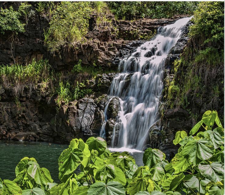 Oahu Hidden Gems & Waimea Botanical Garden/Waterfall tour - Discover Oahu’s Hidden Gems and Natural Wonders