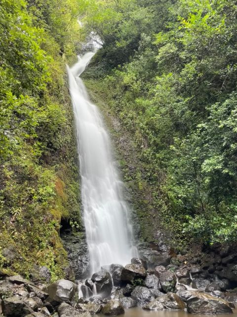 Oahu: Hidden Hawaii Waterfall Hike and Beach Tour - What’s Included and What to Consider