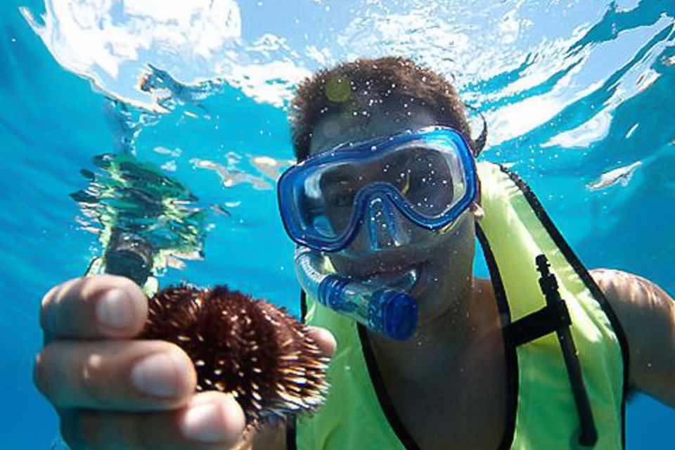 Oahu: Hilton Hawaiian Village Snorkel Tour - Oahu: Hilton Hawaiian Village Snorkel Tour Review