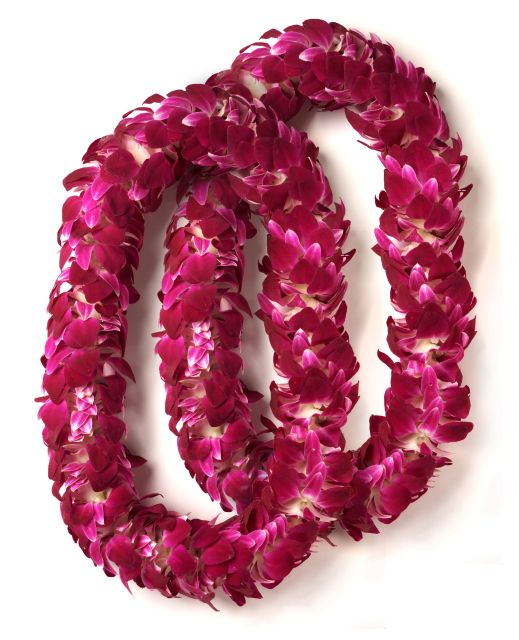 Oahu: Honolulu Airport (HNL) Honeymoon Lei Greeting - Why This Experience Is a Great Start for Your Trip