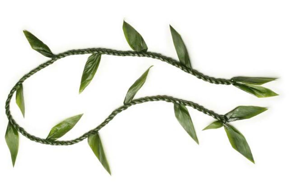 Oahu: Honolulu Airport (HNL) Traditional Lei Greeting - The Authenticity and Cultural Significance of the Lei