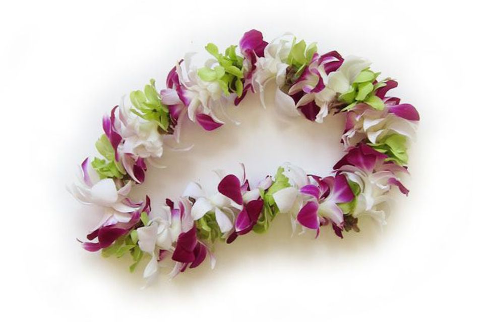 Oahu: Honolulu Airport (HNL) Traditional Lei Greeting - Who Is This Tour Best For?