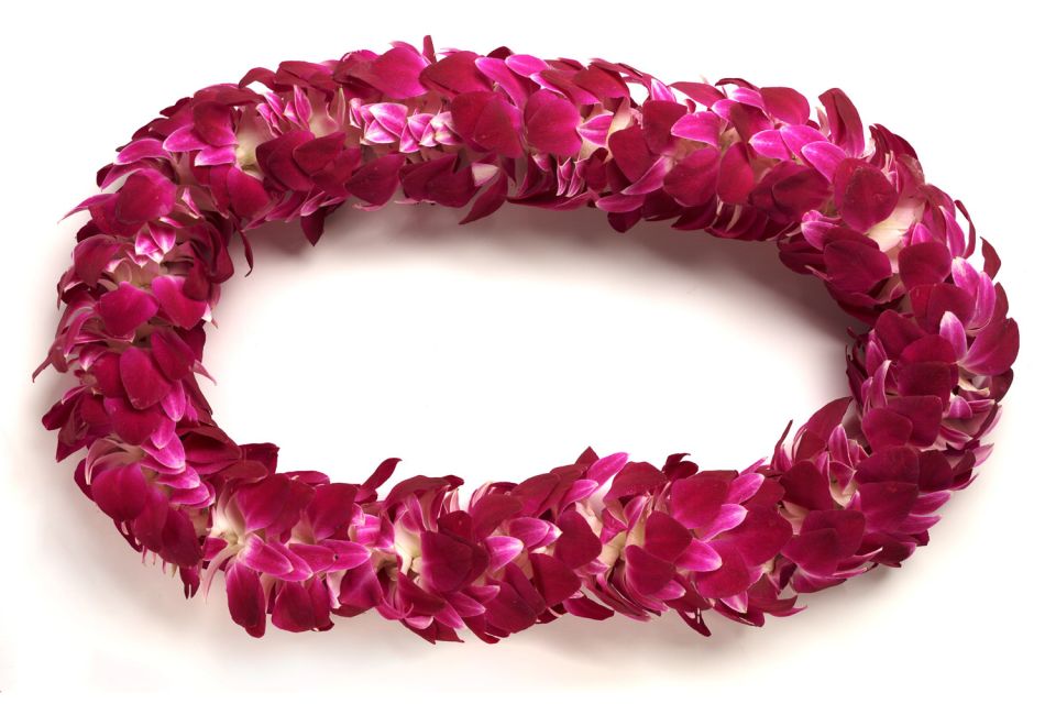 Oahu: Honolulu Airport (HNL) Traditional Lei Greeting - Practical Tips for Your Lei Greeting Experience