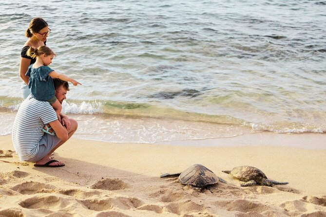Oahu Island Highlights in Small Group | 30 Spots | ~10 Stops - What the Reviews Say