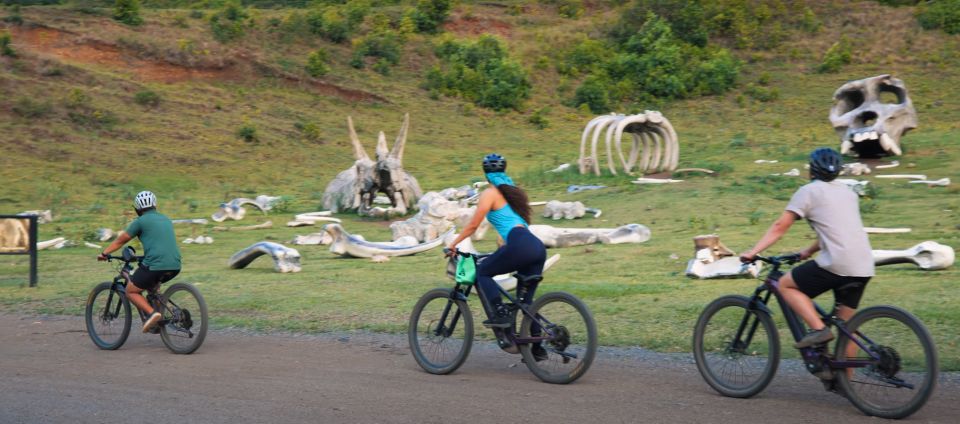 Oahu: Kualoa Electric Bike Tour - Unpacking the Experience: What to Expect on the Kualoa Electric Bike Tour