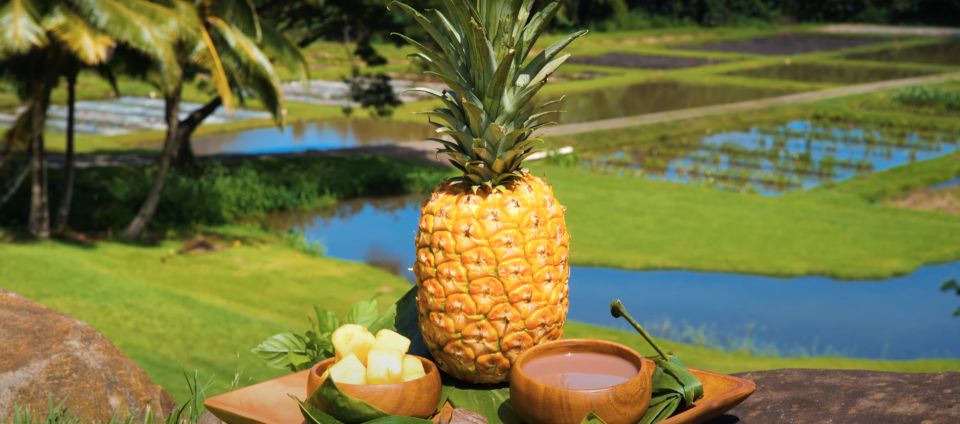 Oahu: Kualoa Farm and Secret Island Tour by Trolley - The Sum Up