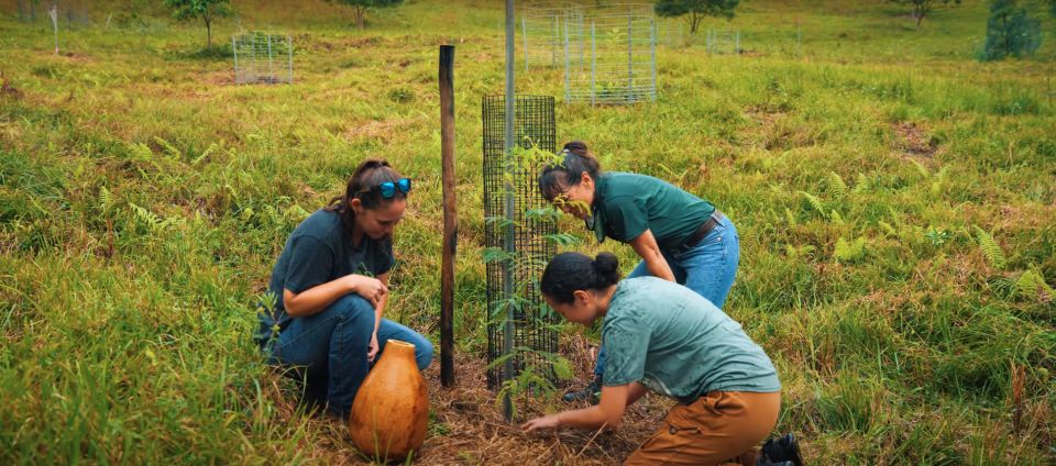 Oahu: Kualoa Ranch Malama Sustainability and Gardening Tour - Who Will Love This Tour?