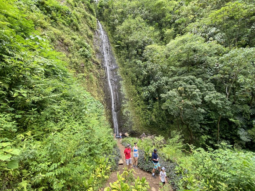 Oahu: Manoa Valley Private Hiking Trip & Waterfall - What Makes This Tour Stand Out
