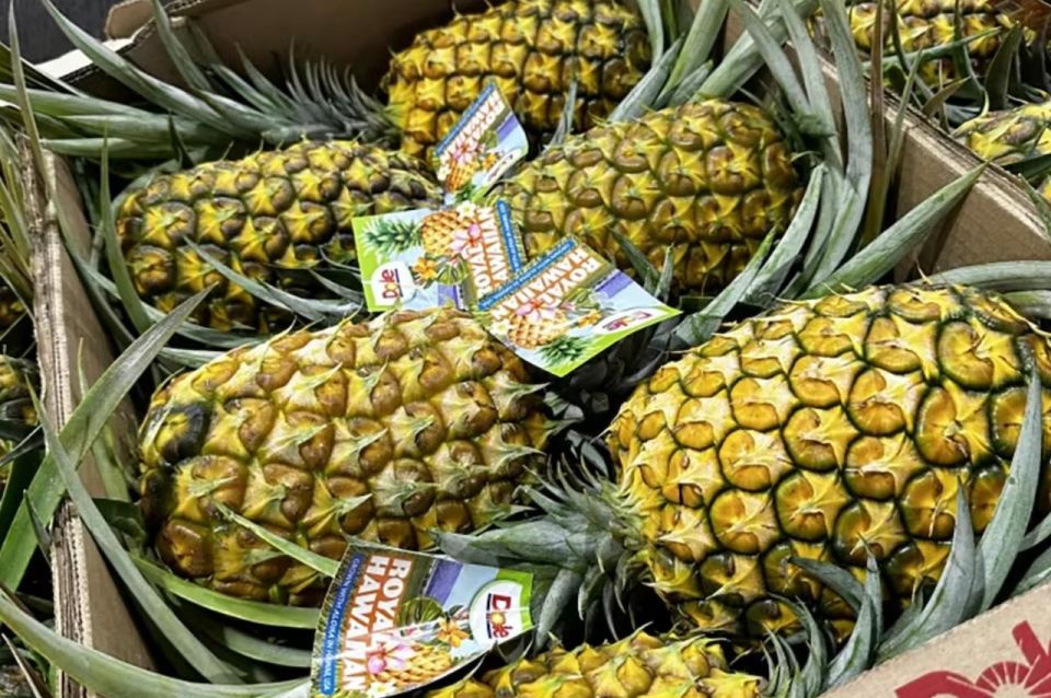 Oahu: North Shore Dole Pineapple Farm Tour - What to Expect from the North Shore Dole Pineapple Farm Tour