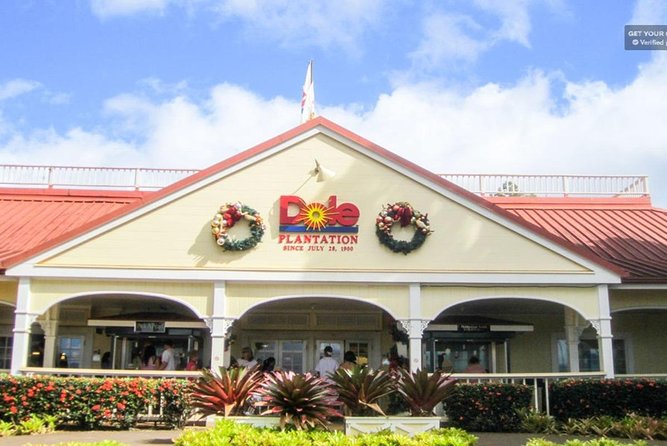 Oahu: North Shore & Dole Plantation Island Discover Tour - Who Should Consider This Tour?