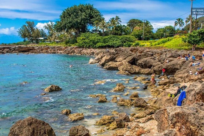 Oahu: North Shore & Dole Plantation Island Discover Tour - Final Verdict