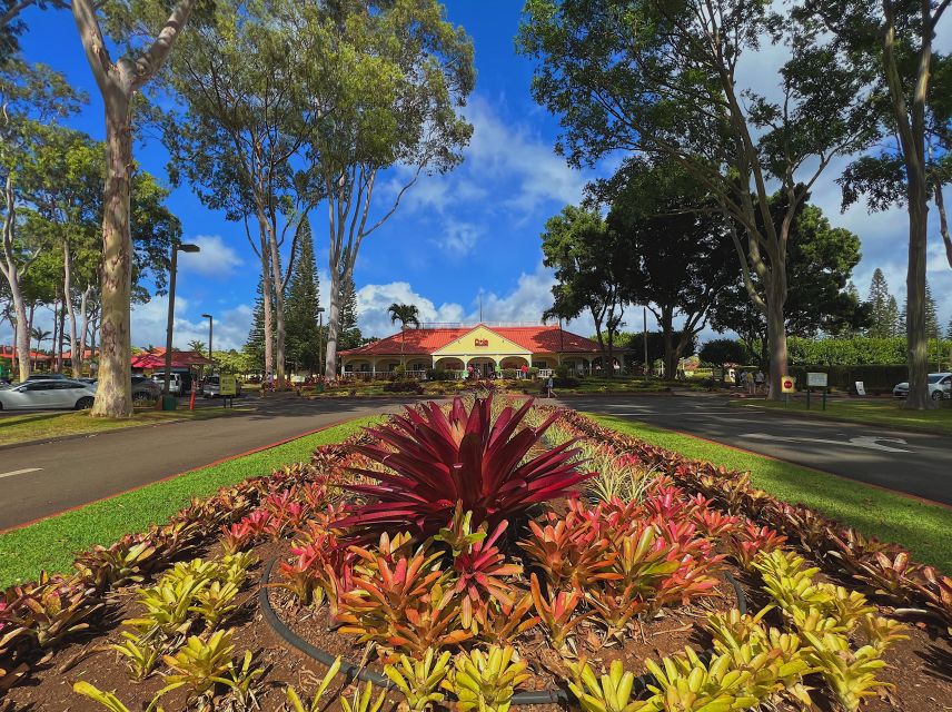 Oahu: North Shore Experience and Dole Plantation - What Reviewers Say