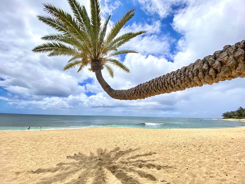 Oahu: North Shore Experience and Dole Plantation - Who Is This Tour Best For?