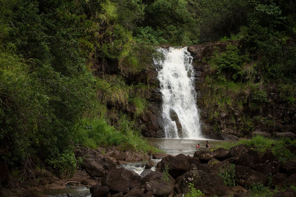 Oahu: North Shore Waterfall Swim - Authentic Encounters & Practical Insights