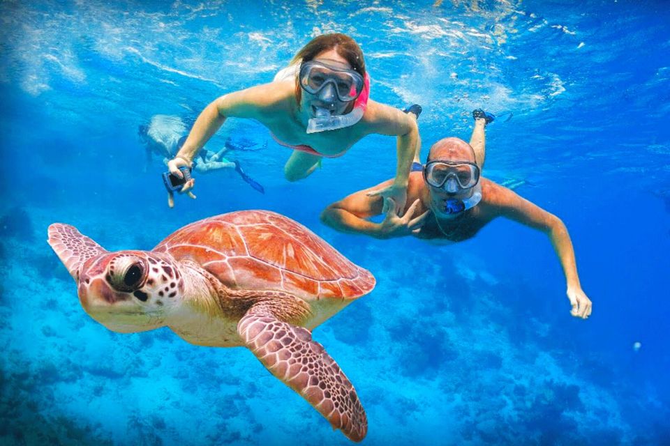 Oahu: Oahu Ultimate Grand Circle Island Tour - FAQ