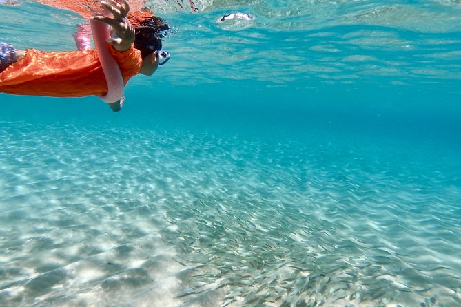 Oahu Personalized Private North Shore Highlight Custom Tour - An Honest Look at the North Shore Private Tour