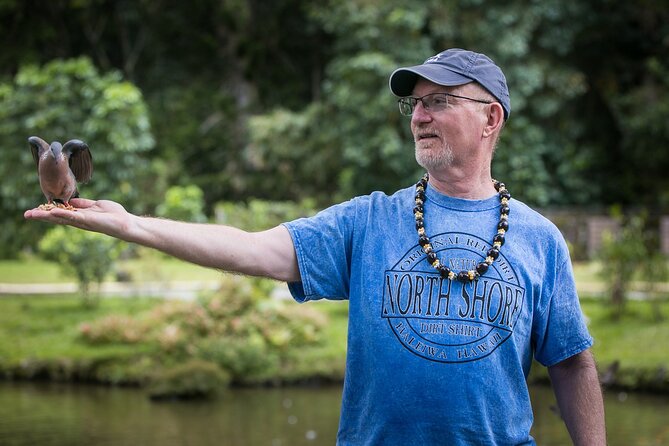 Oahu Personalized Private Tour - Breakdown of the Itinerary