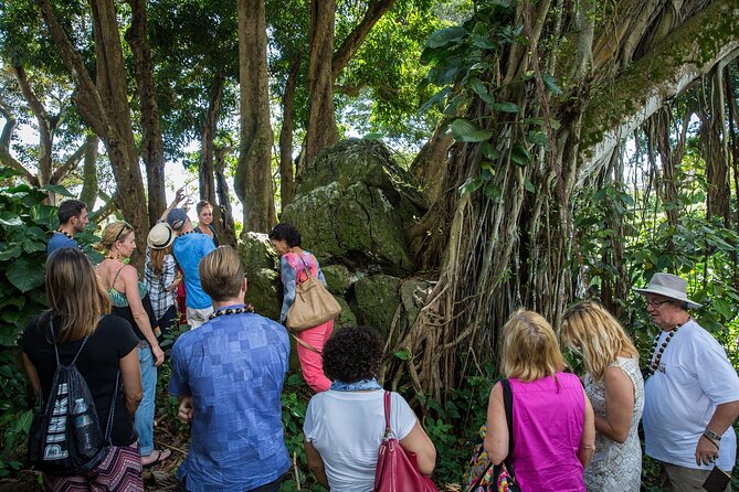 Oahu Personalized Private Tour - This private tour is best suited for travelers who value customization, comfort, and local expertise. If you want a flexible itinerary with personal touches and expert guidance, it’s a worthwhile way to explore Oahu in style.