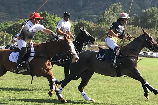Oahu Polo Game and Private Island Tour from Honolulu - Key Points