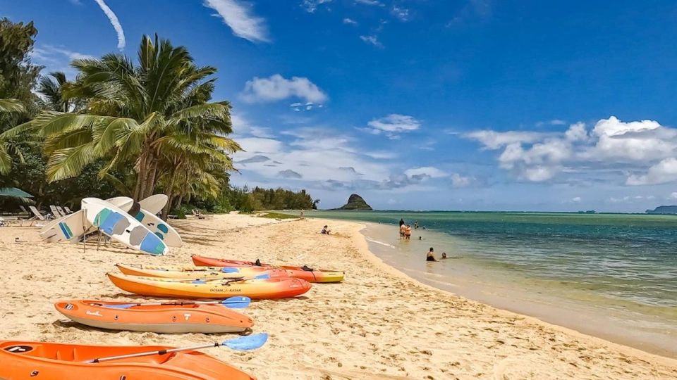 Oahu: Secret Beach Circle Island Adventure - What Sets This Tour Apart