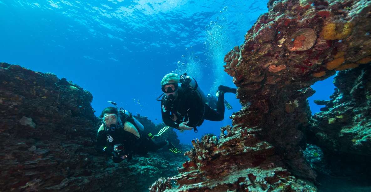 Oahu: Shallow Reef Scuba Dive for Certified Divers - Who This Tour Is Perfect For