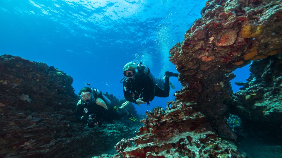 Oahu: Shallow Reef Scuba Dive for Certified Divers - FAQs