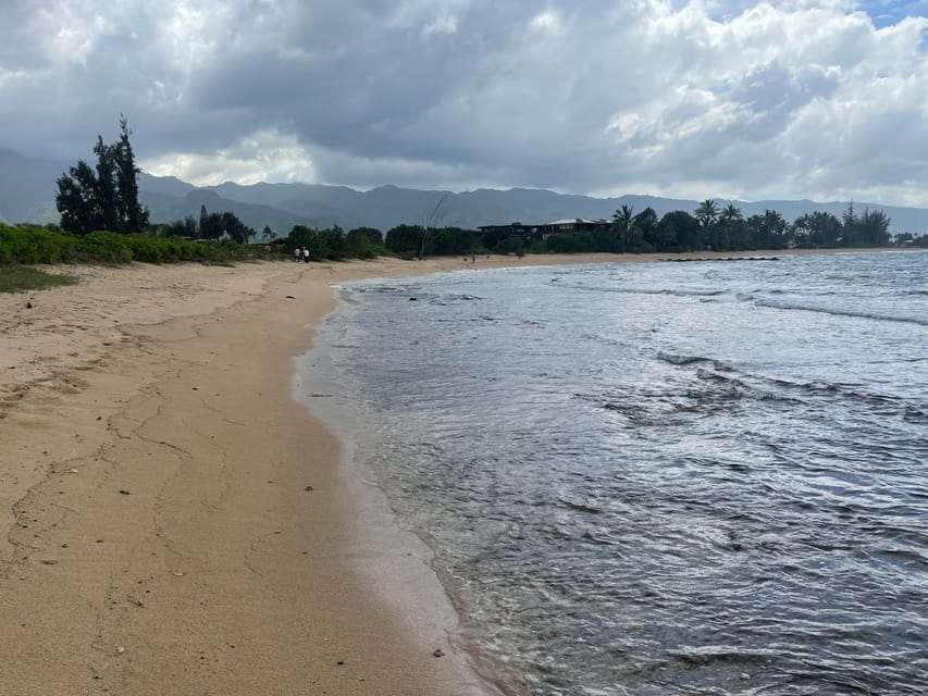 Oahu: Shoreline Restoration Tour w/ Native Plants & Animals - What to Expect During the Tour