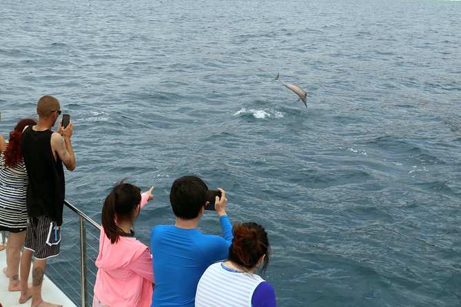 Oahu: Snorkeling and Dolphin Watch Cruise With Hawaiian Buffet