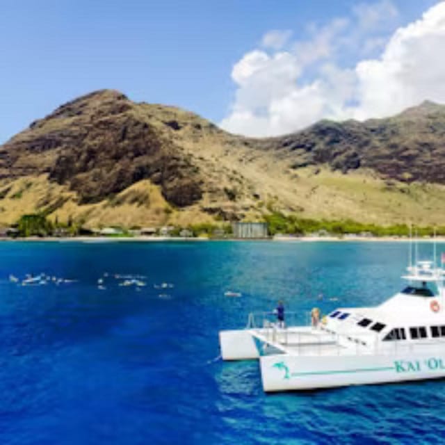 Oahu: Snorkeling & Dolphin Watch Cruise with Hawaiian Buffet