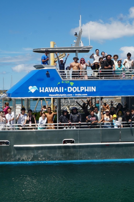 Oahu: Swim with Dolphins, Turtle Snorkel Tour and Waterslide - Final Thoughts