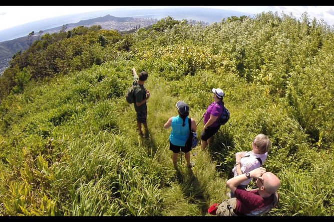 Oahu Volcanic Rainforest Hiking Adventure