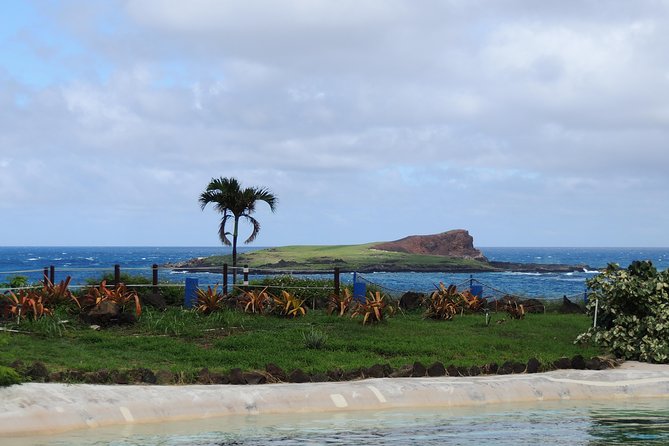 OAHU VOLCANO AND BEACHES - Tour in Spanish - Final Thoughts