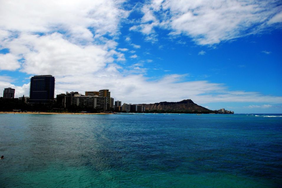 Oahu: Waikiki Eco-Friendly Afternoon Whale Watching Trip - Key Points  