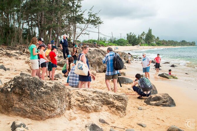 Oahu's Cheapest Circle Island Tour - Exploring the Itinerary in Detail