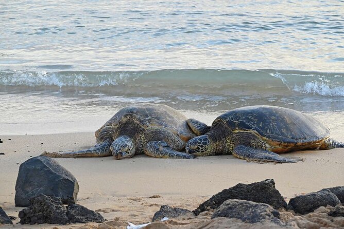 Oahu's Cheapest Circle Island Tour - Final Thoughts