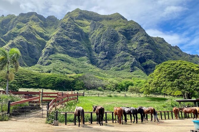 Oahu’s Fun and Foodie Tour Groups of 5 or more Only!