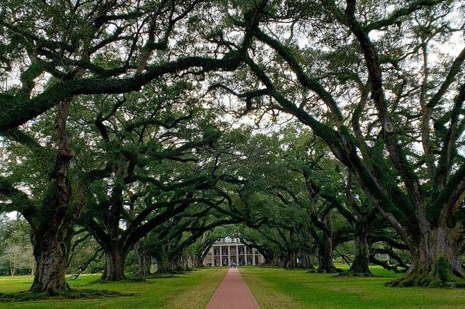 Oak Alley and Laura Plantation Tour with Transportation from New Orleans - FAQ