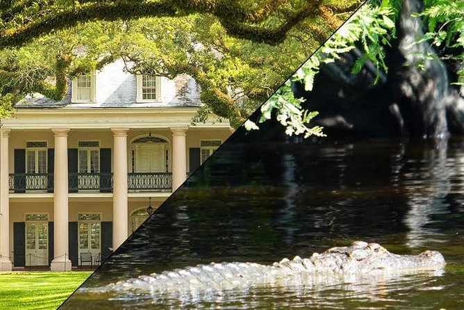 Oak Alley Plantation and Swamp Boat Tour from New Orleans - Who Will Love This Tour?