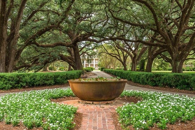 Oak Alley Plantation and Swamp Boat Tour from New Orleans - Final Thoughts