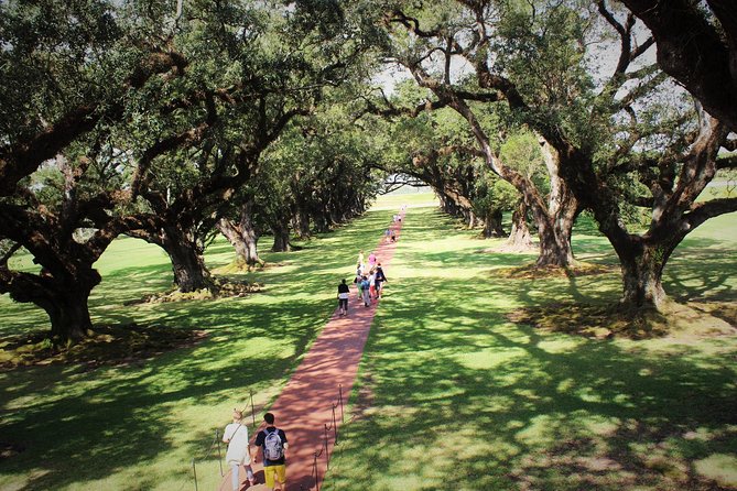 Oak Alley Plantation Tour with Transportation - Who Might Want to Look Elsewhere?