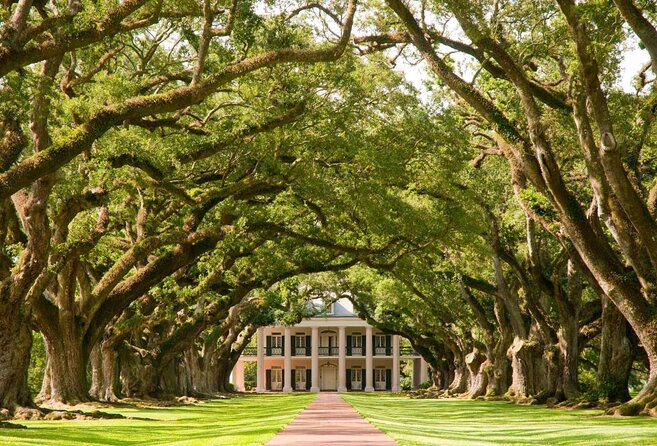 Oak Alley Plantation Tour with Transportation from New Orleans - Key Points