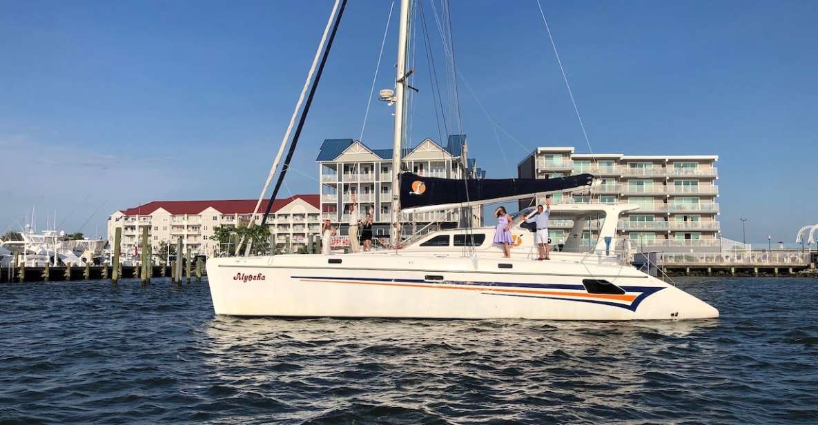 Ocean City: Assateague Island Morning Cruise - Comparing Similar Experiences