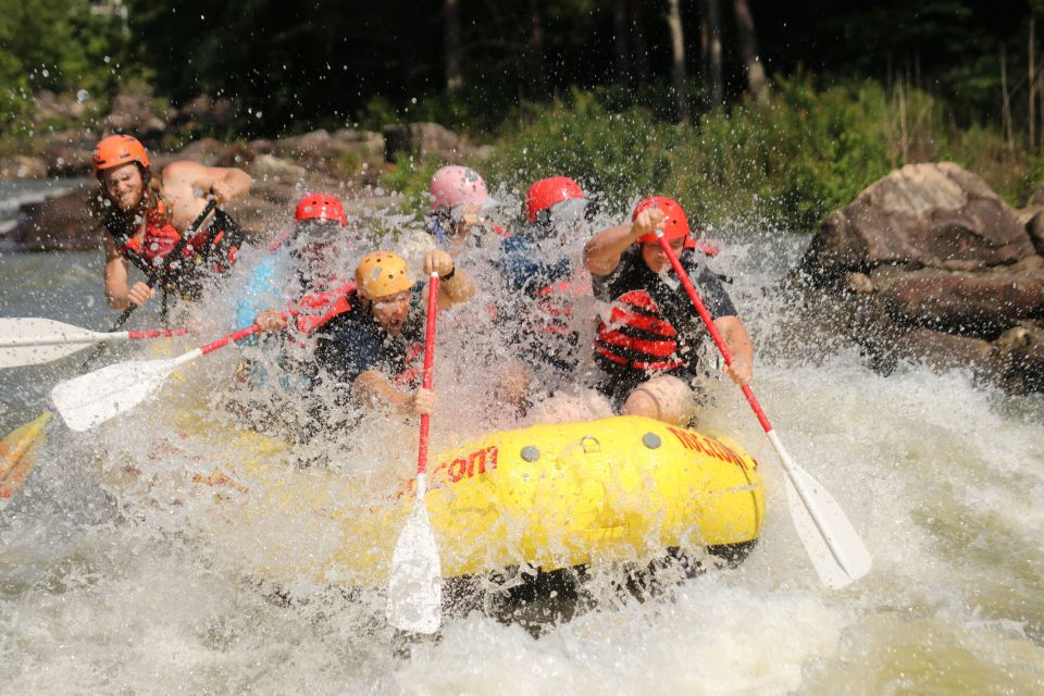 Ocoee River: Middle Ocoee Guided Rafting Tour - Why You Should Choose This Tour